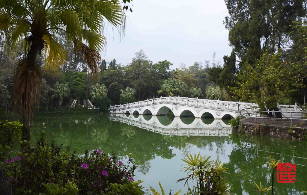 Bridge And Trees | The Taishan Project