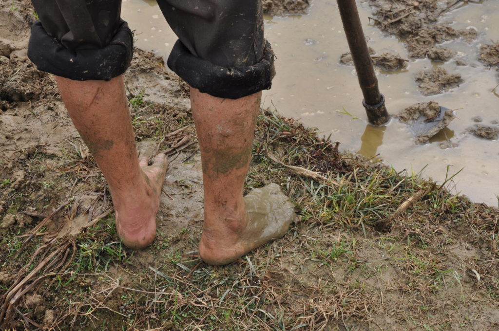 Farmer’s Feet | The Taishan Project