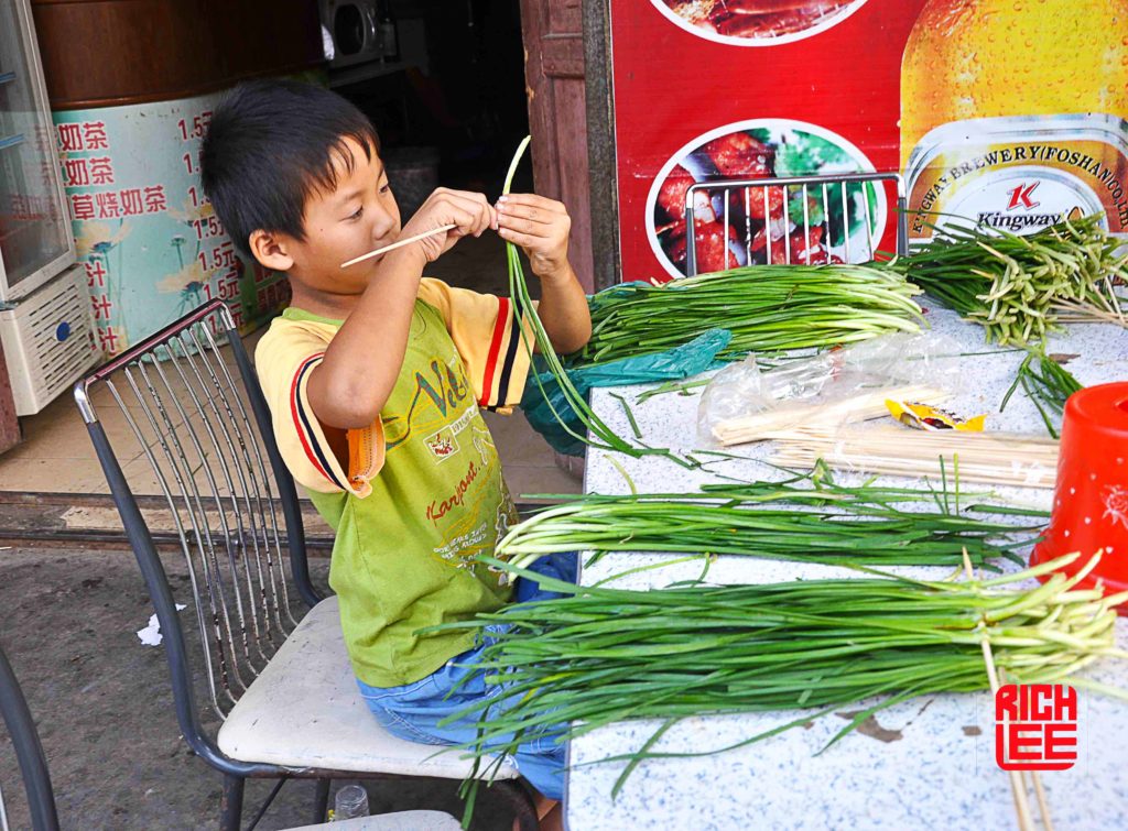 String Onions | The Taishan Project