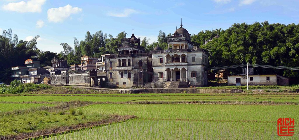 Long Xi Longan | The Taishan Project