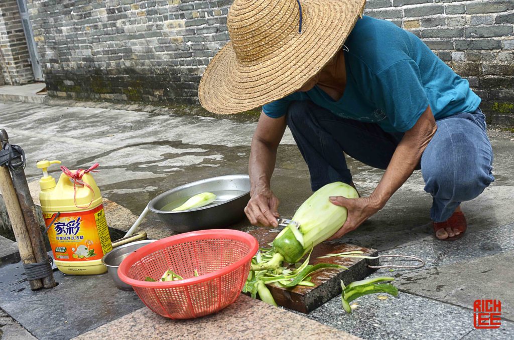 Melon Peeling | The Taishan Project