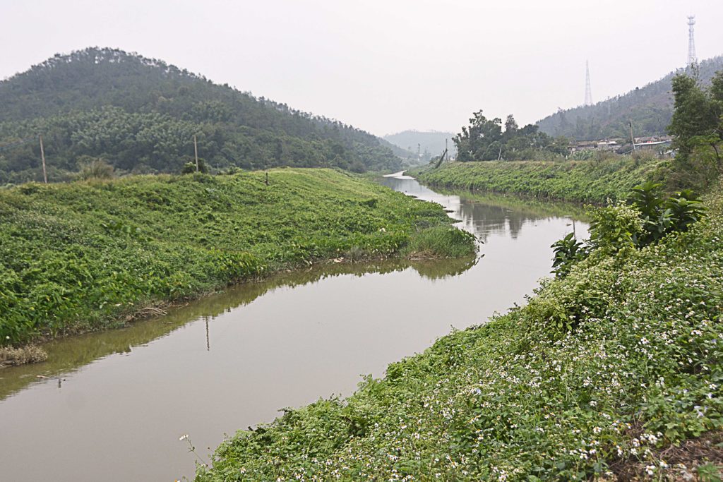 Quiet River | The Taishan Project