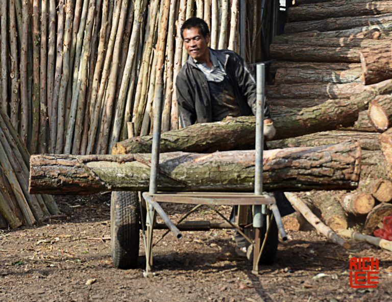 Moving Logs | The Taishan Project