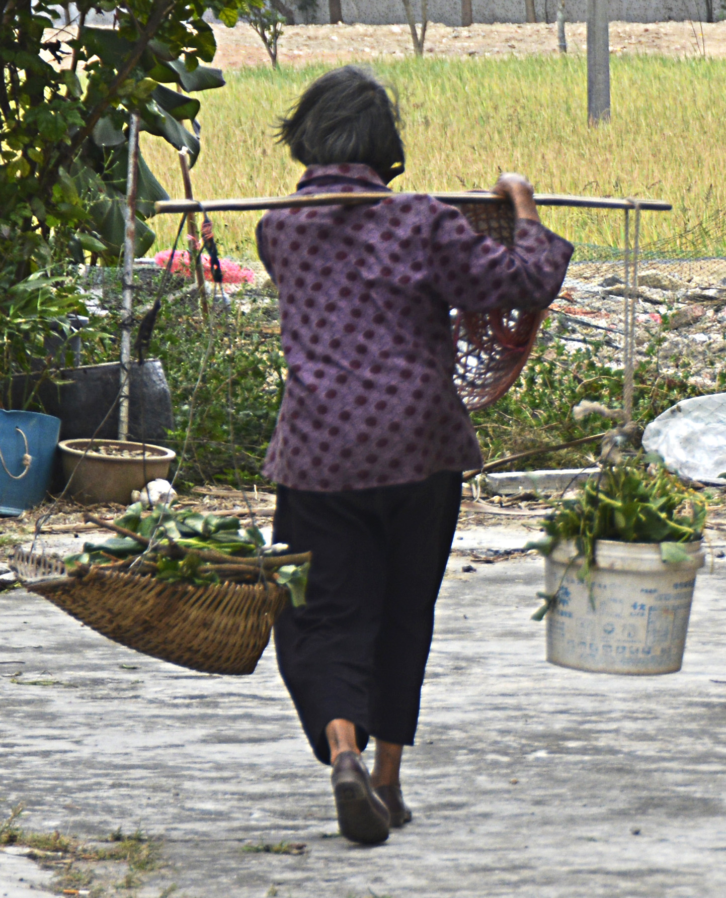 Carrying Bucket and Basket | The Taishan Project