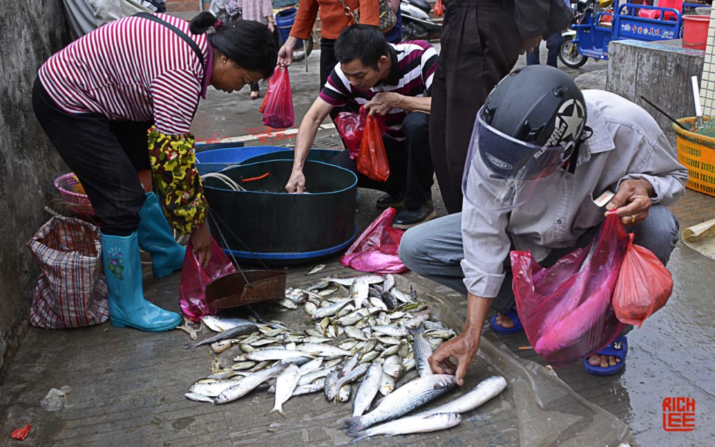 Fresh Fish | The Taishan Project