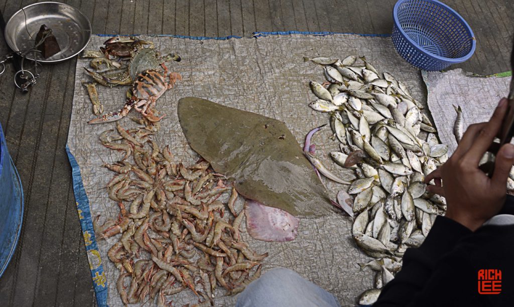 Ray and Other Seafood | The Taishan Project