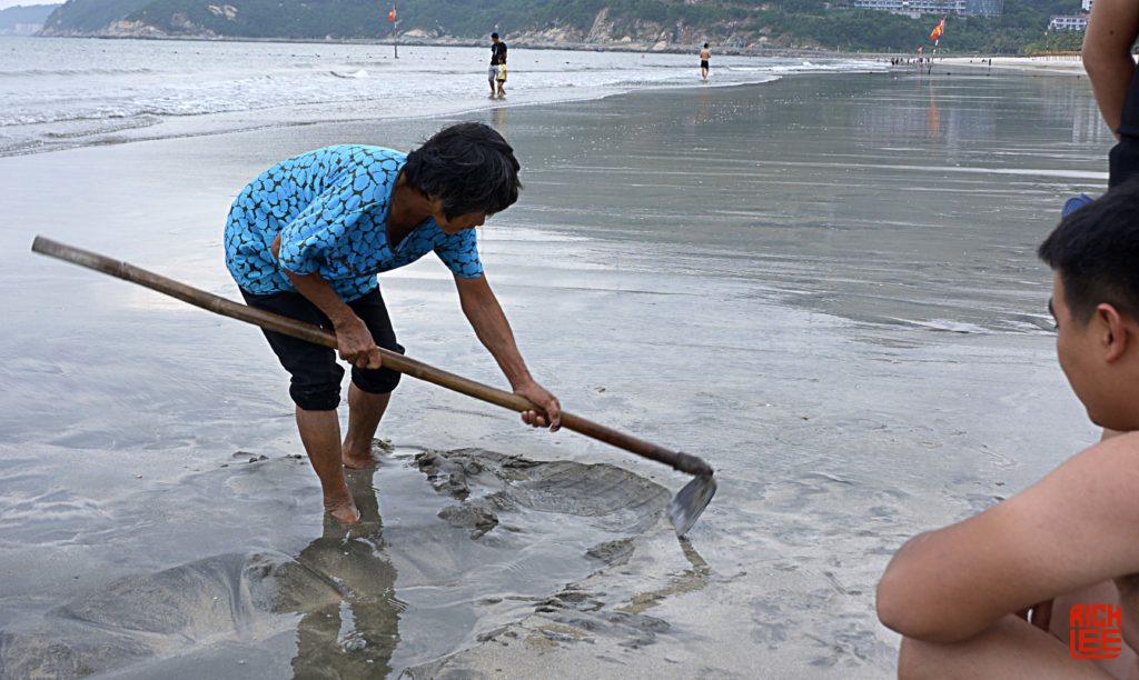 Woman Hunting For Shellfish | The Taishan Project